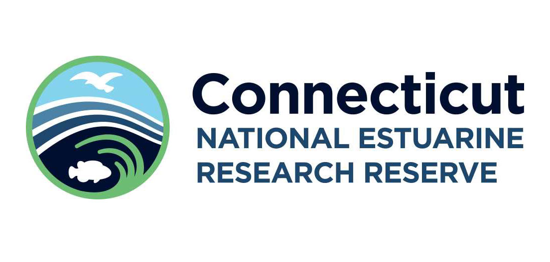Celebrating the Connecticut Reserve: A Day of Fun at Bluff Point State ...