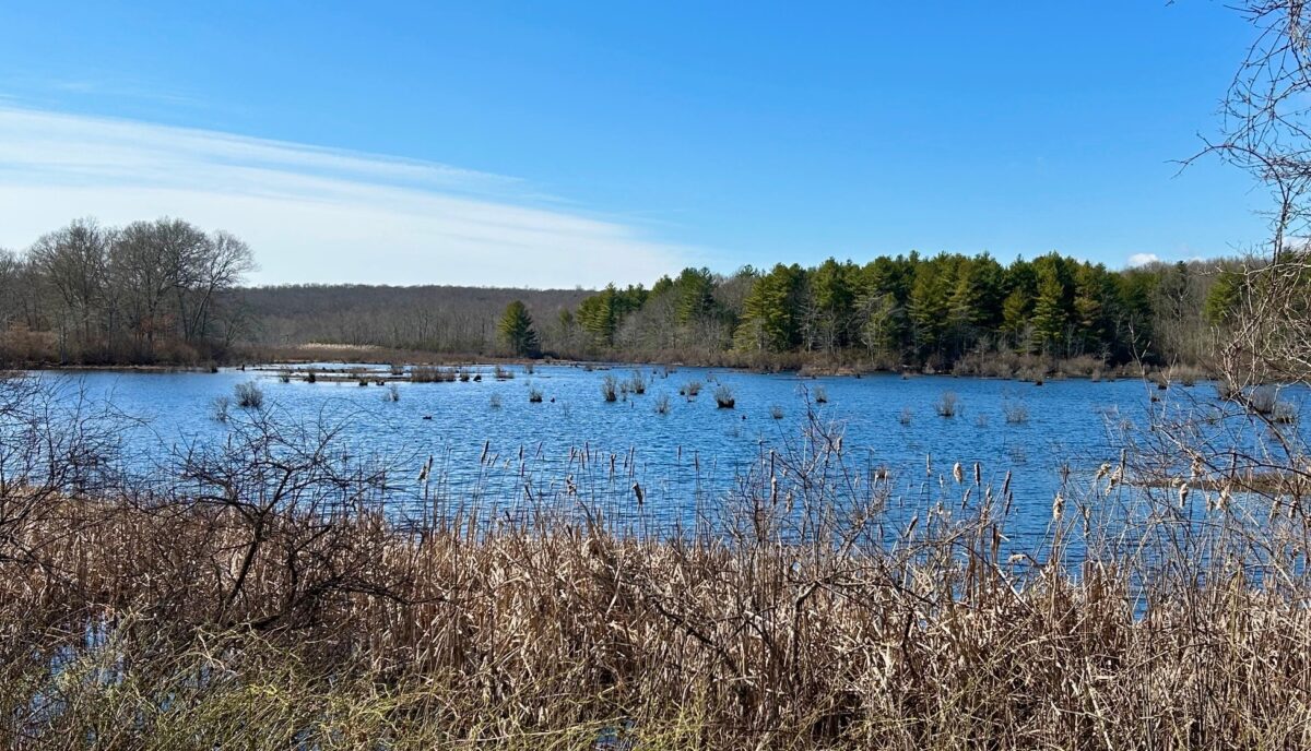 Notes from the Trail with Dan – March 2024 – Groton Open Space Association